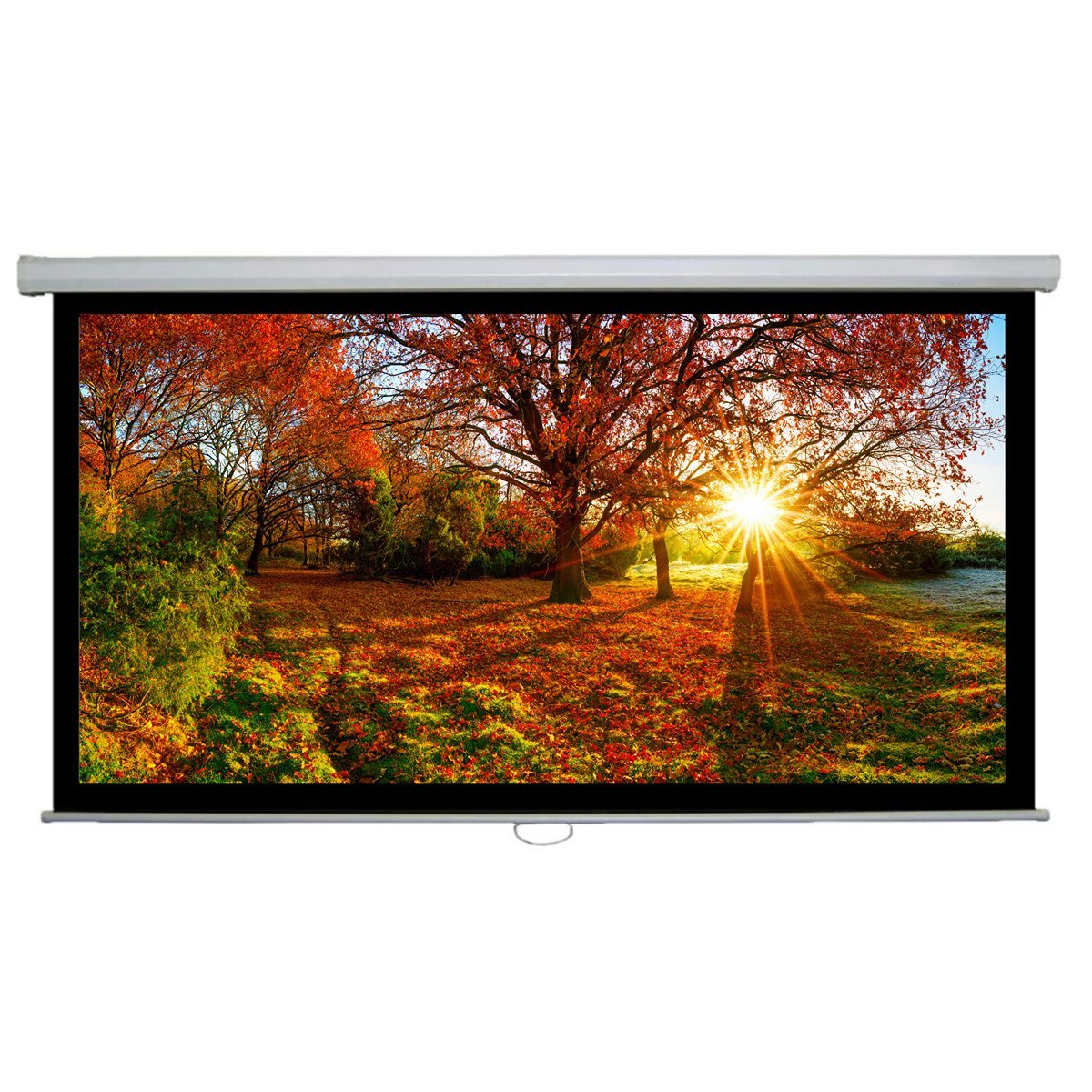 NP Tech| Nptech 100-inch (7ft x 5ft) Imported Insta-lock Projector ...