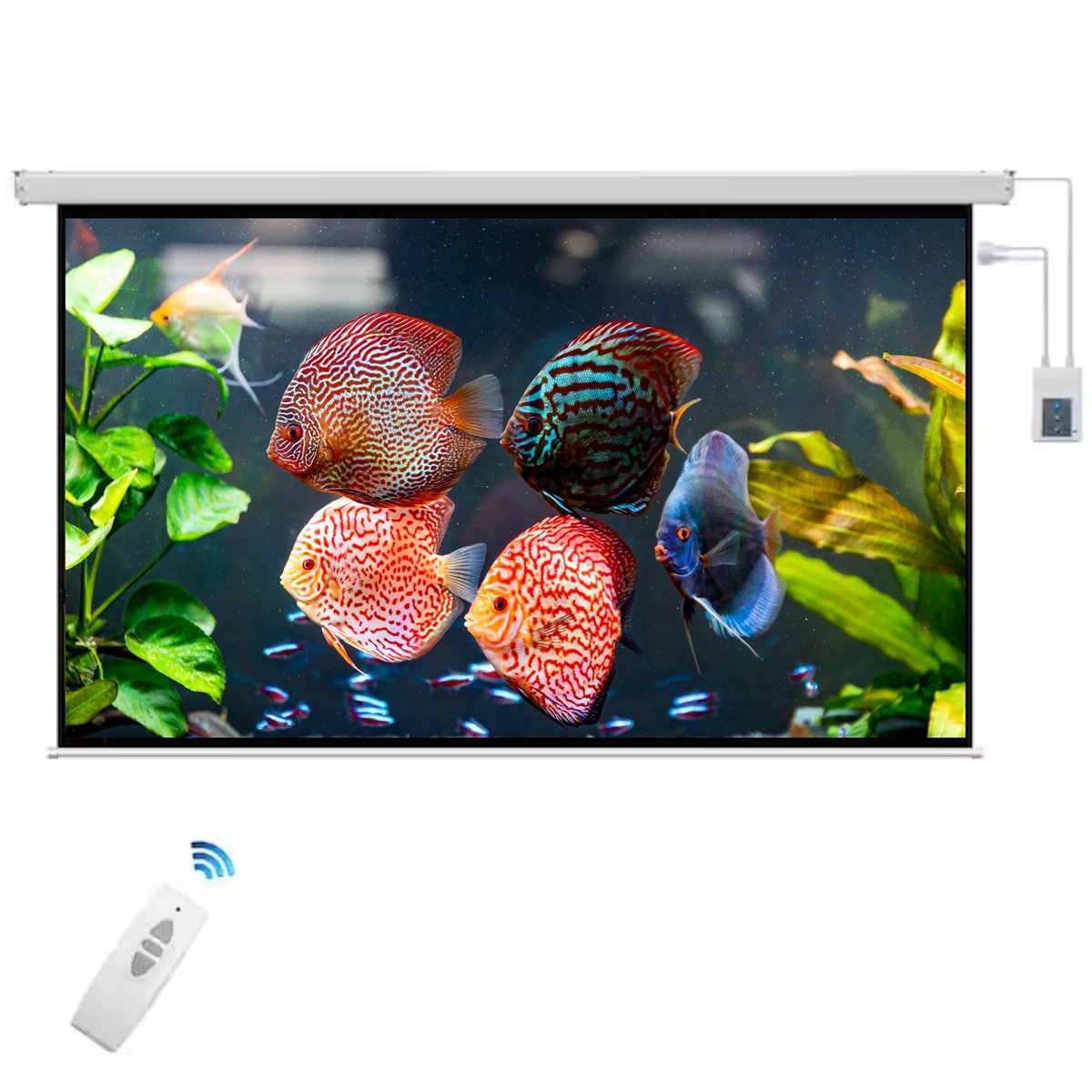 NP Tech| Nptech 100-inch 16:9 Electric Motorized Projector Screen, UHD ...