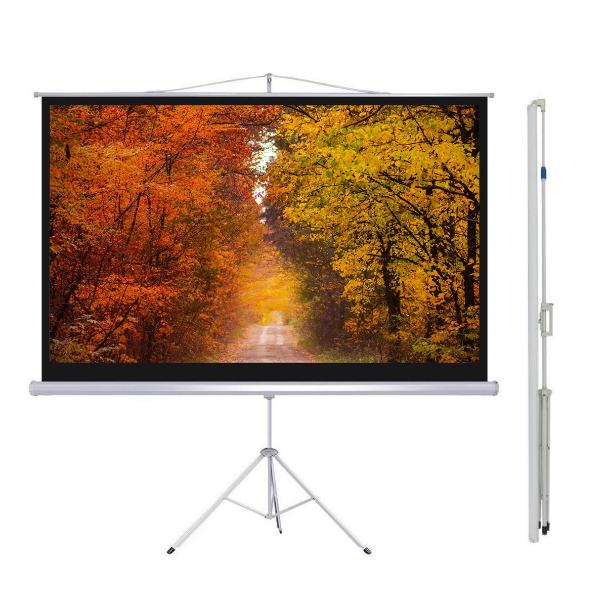 NP Tech| Nptech 100-inch (7ft x 5ft) 4:3 Aspect Ratio Portable Tripod ...