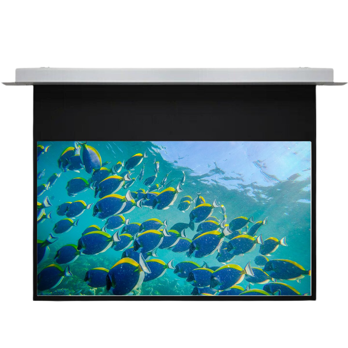 NP Tech| Nptech 120-inch Diagonal (8.7ft X 4.9ft) 16:9 Tab Tension In ...